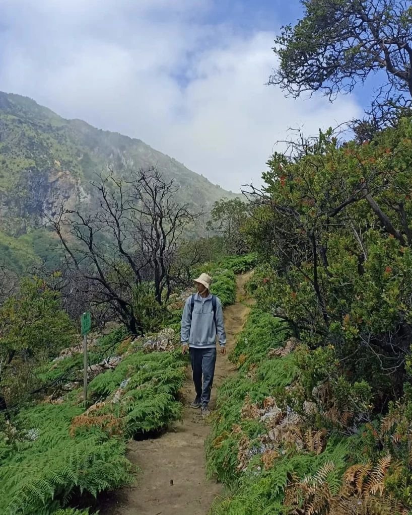 the trek - IJEN CRATER, IJEN BLUE FIRE, IJEN TOUR